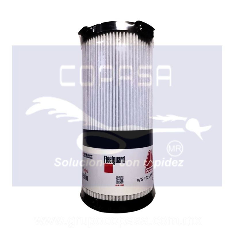 WG9925550966 - GRUPO COPASA