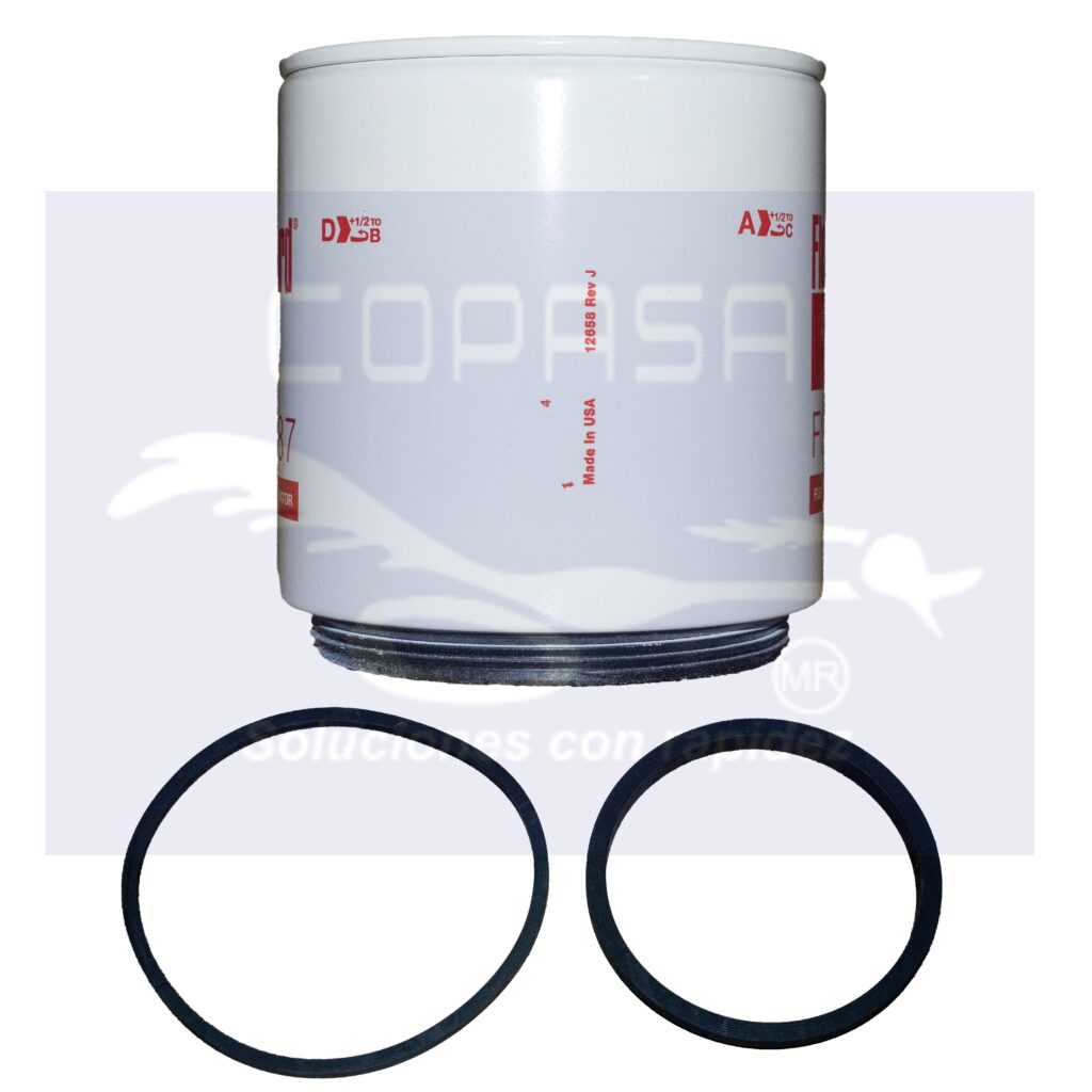 FS1287 - GRUPO COPASA